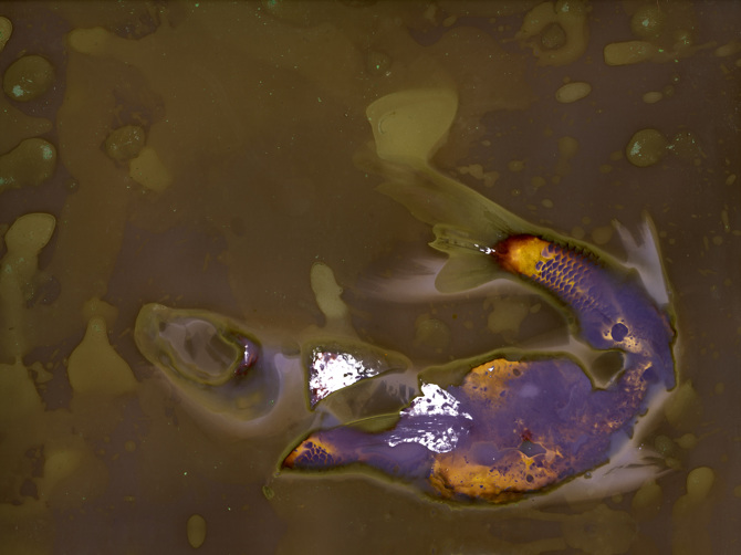 Vera Saltzman – Cry of the Lake Dwellers – Canadian Art Junkie