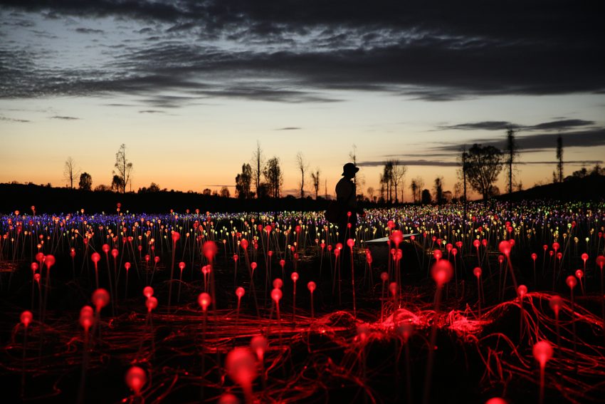 field of light – Canadian Art Junkie