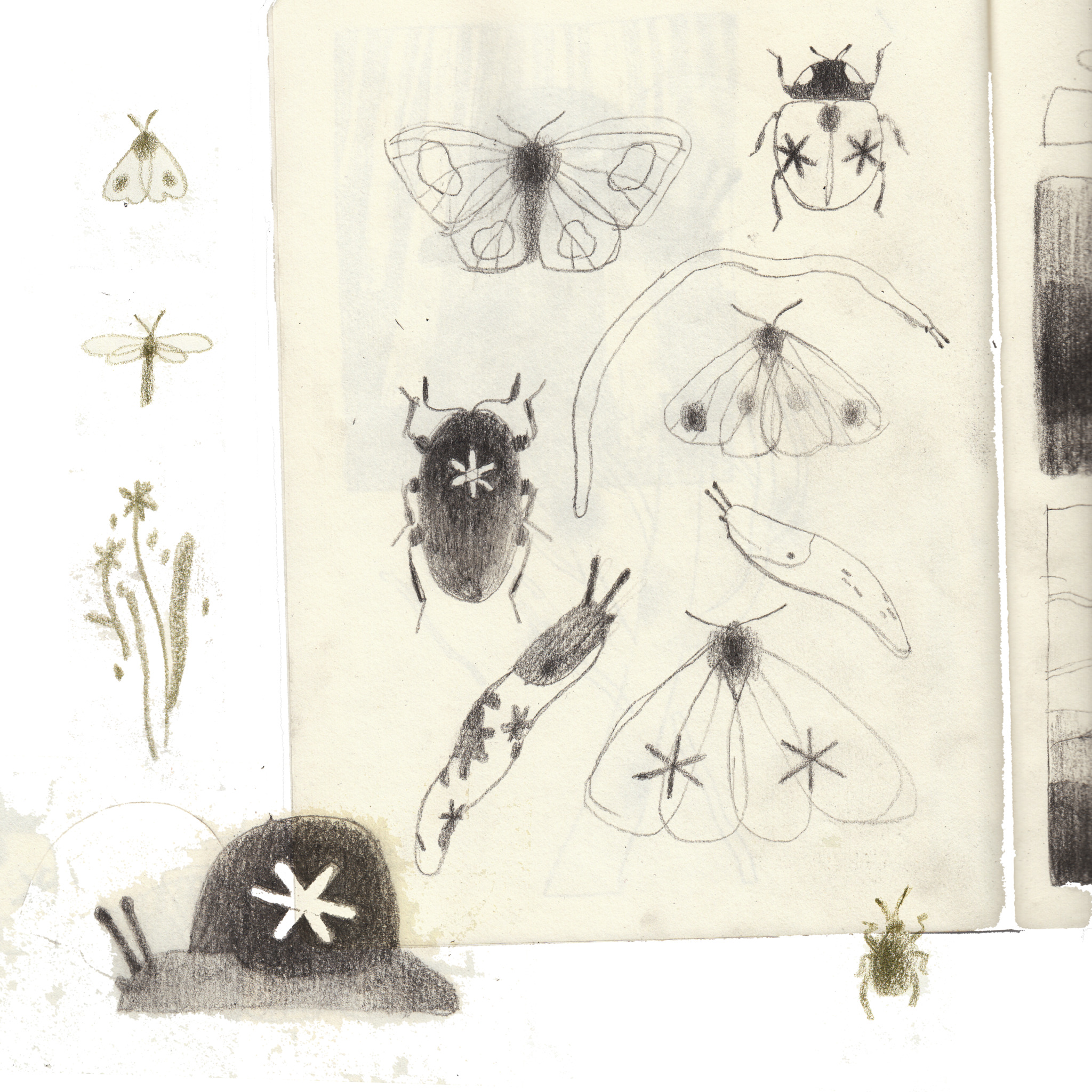 tumblr-bugs – Canadian Art Junkie